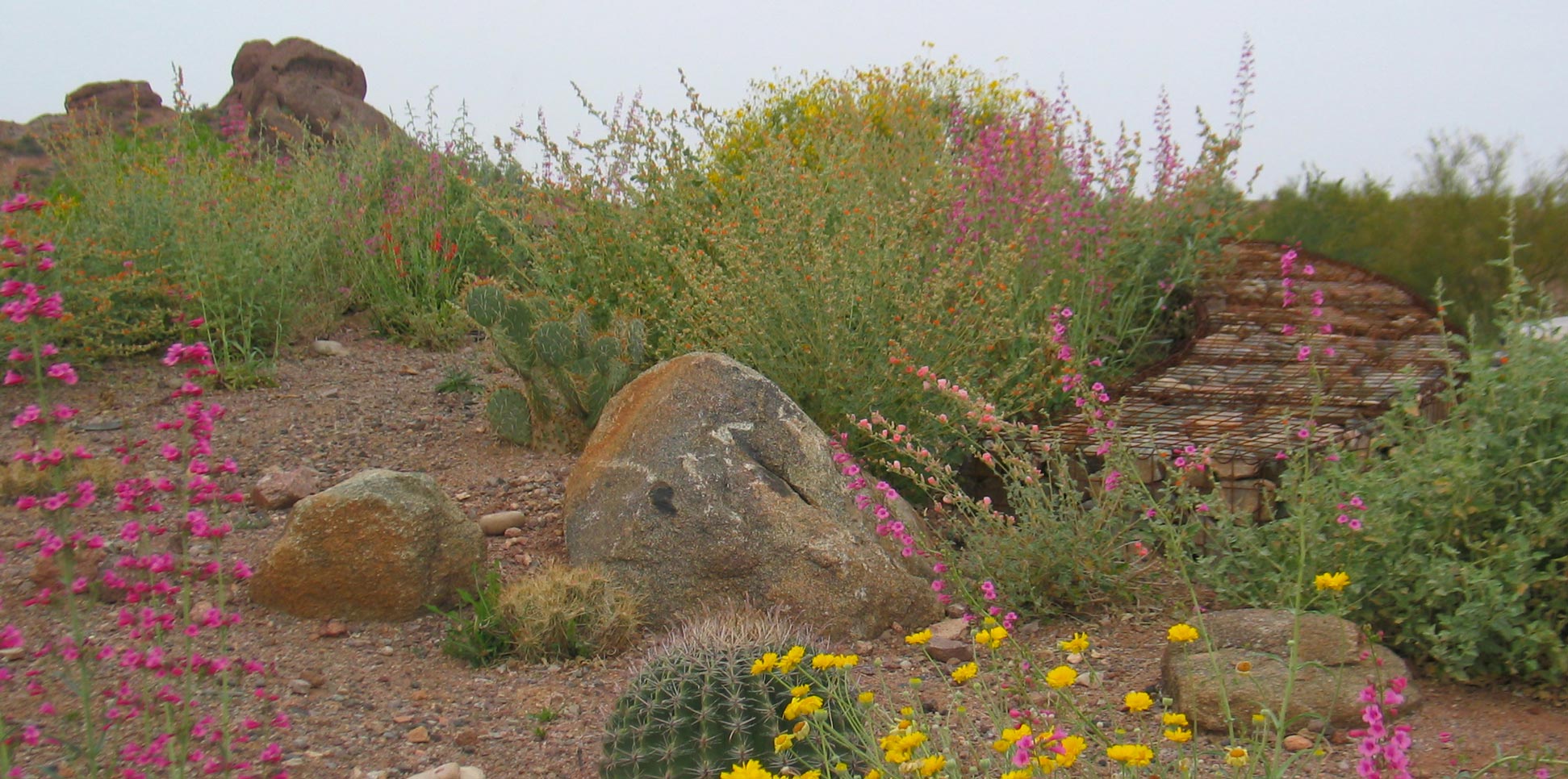 About - Waibel & Associates Landscape Architecture